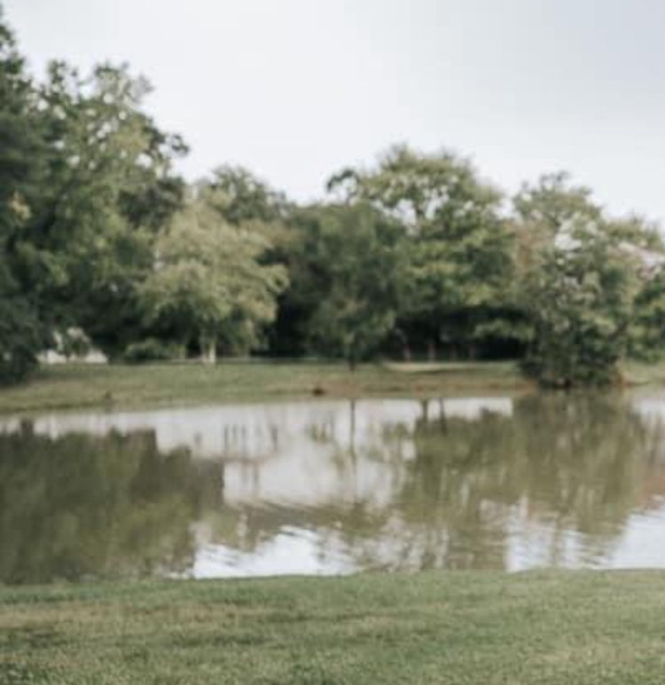 Our Pond is (temporarily) CLOSED – Brandon Oaks